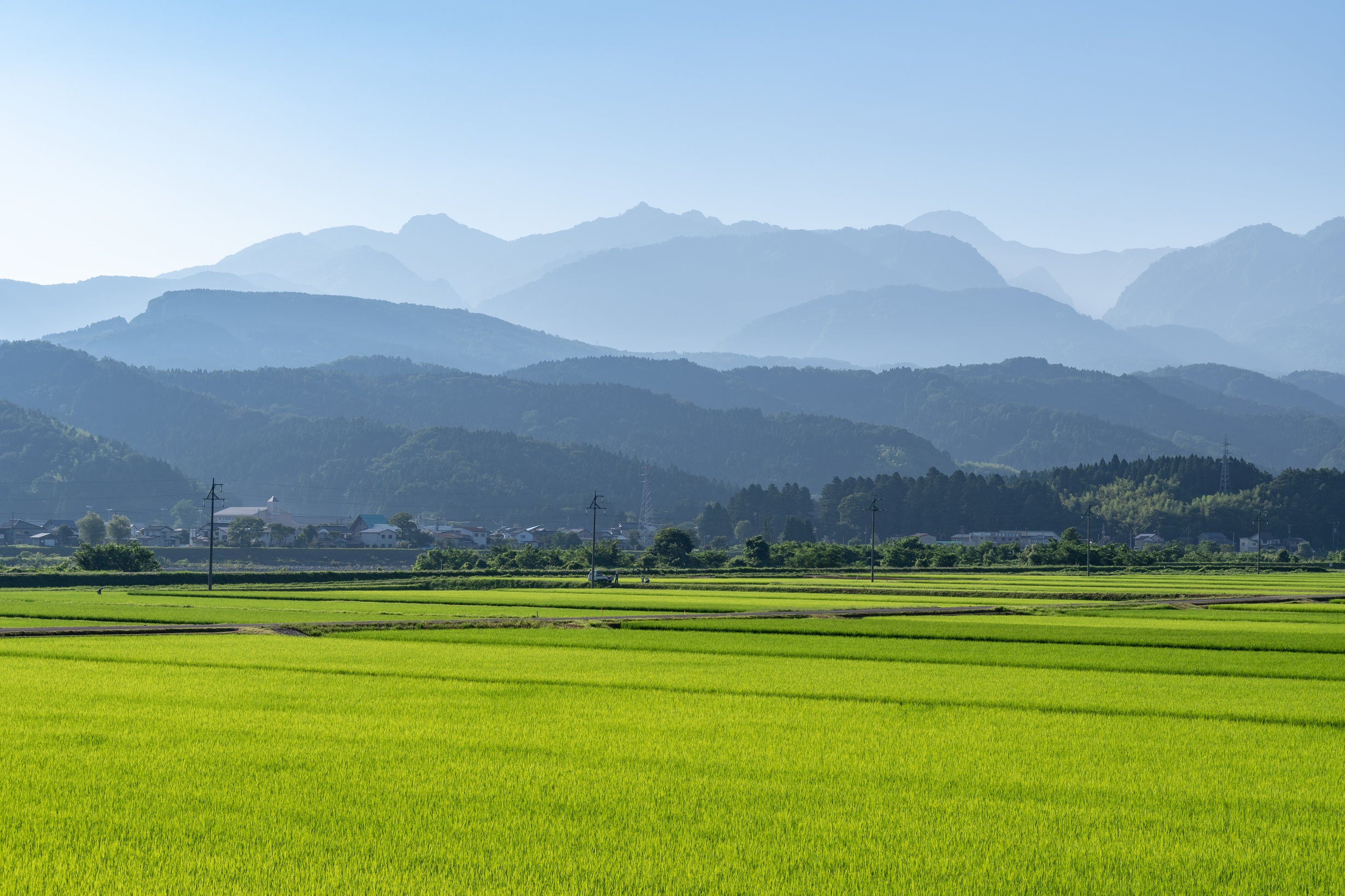 Tsubame-Sanjo in Niigata prefecture – MUSASHI